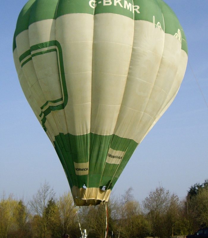 The *virtual* Inflation Day 2020 - British Balloon Museum & Library